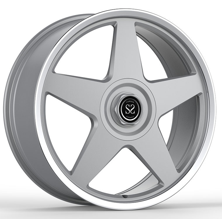 21x10 And 21x11 Custom Foreged 1-PC Alloy Rim Matt Silver Big Caps